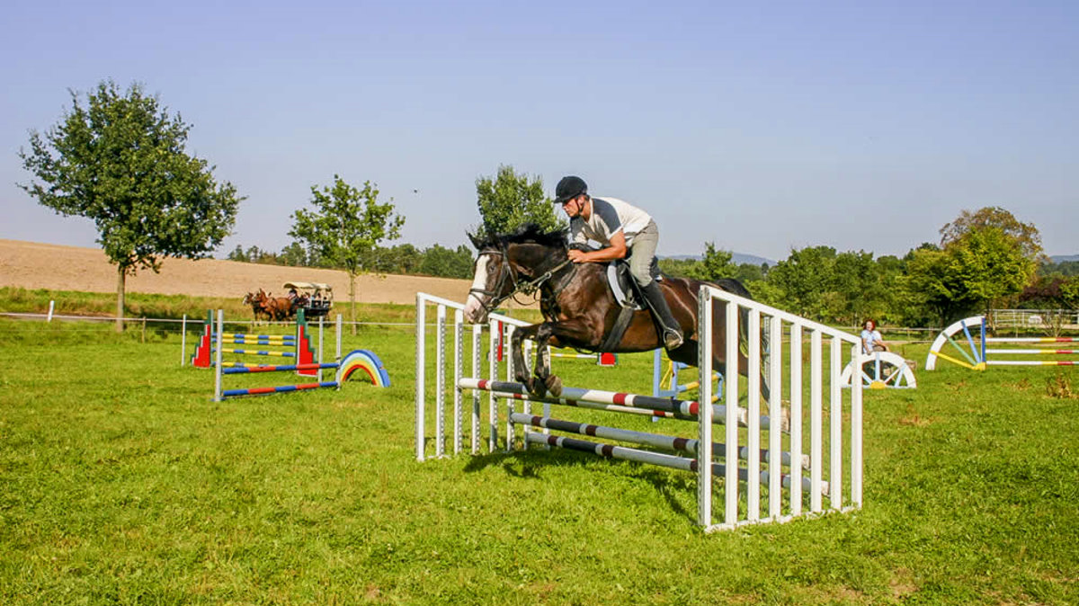 Abenteuer Reiterhof für Kinder Reitstall in Bayern Reiterferien ...