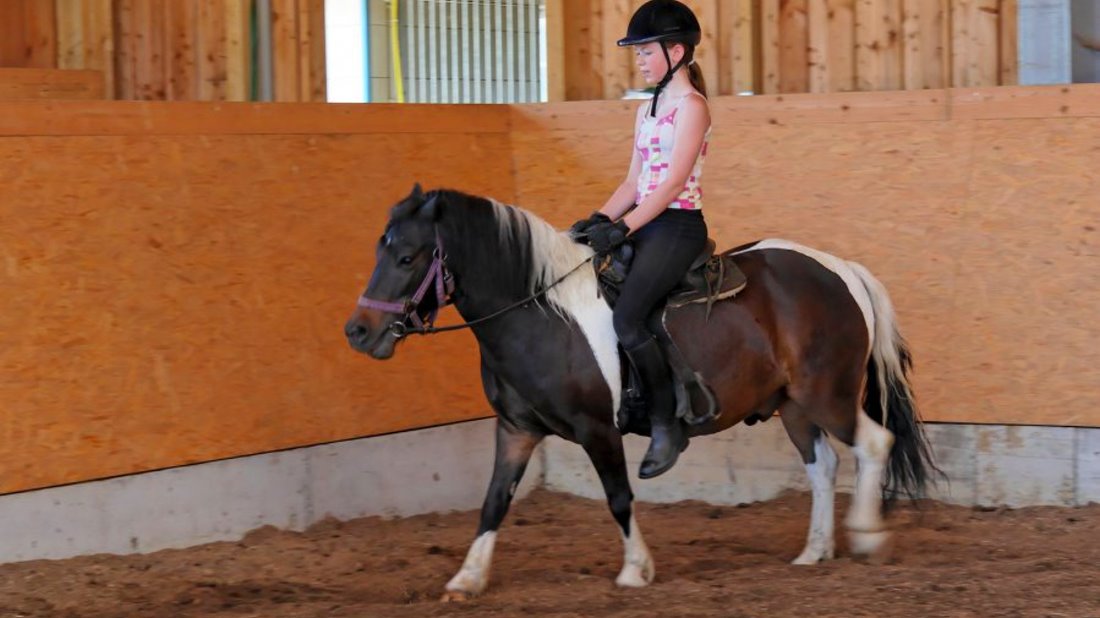Urlaub am Reiterhof in Bayern Ferien im Bayerischen Wald bei Zwiesel ...